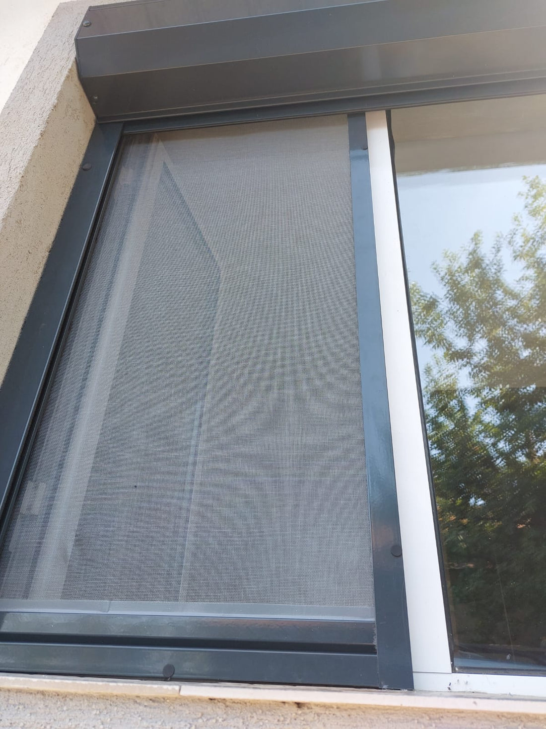 Plasa tantari termopan si plase geamuri - protectie impotriva ...